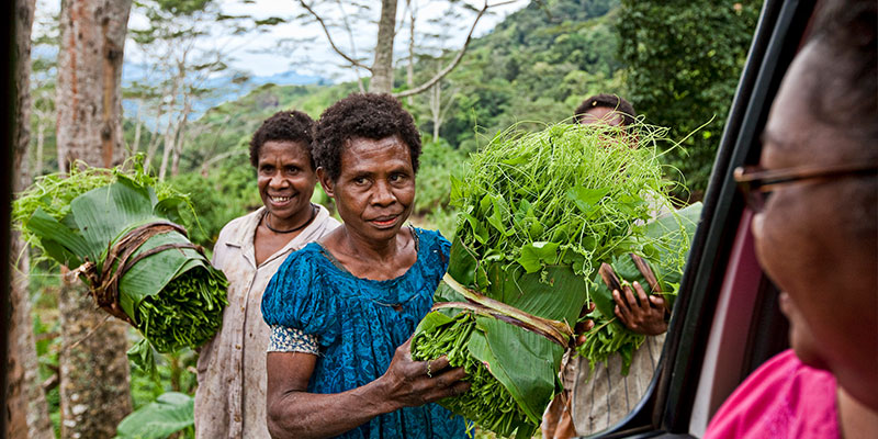 Partnership with Pacific RISE strengthens impact for social enterprises ...