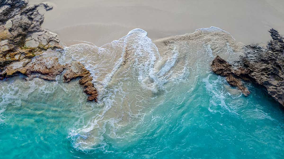 Stories | Pacific Trade Invest