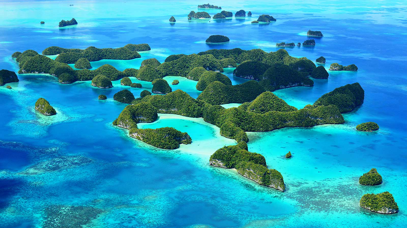 PTI Australia Boosts Digital Tourism Program | Pacific Trade Invest