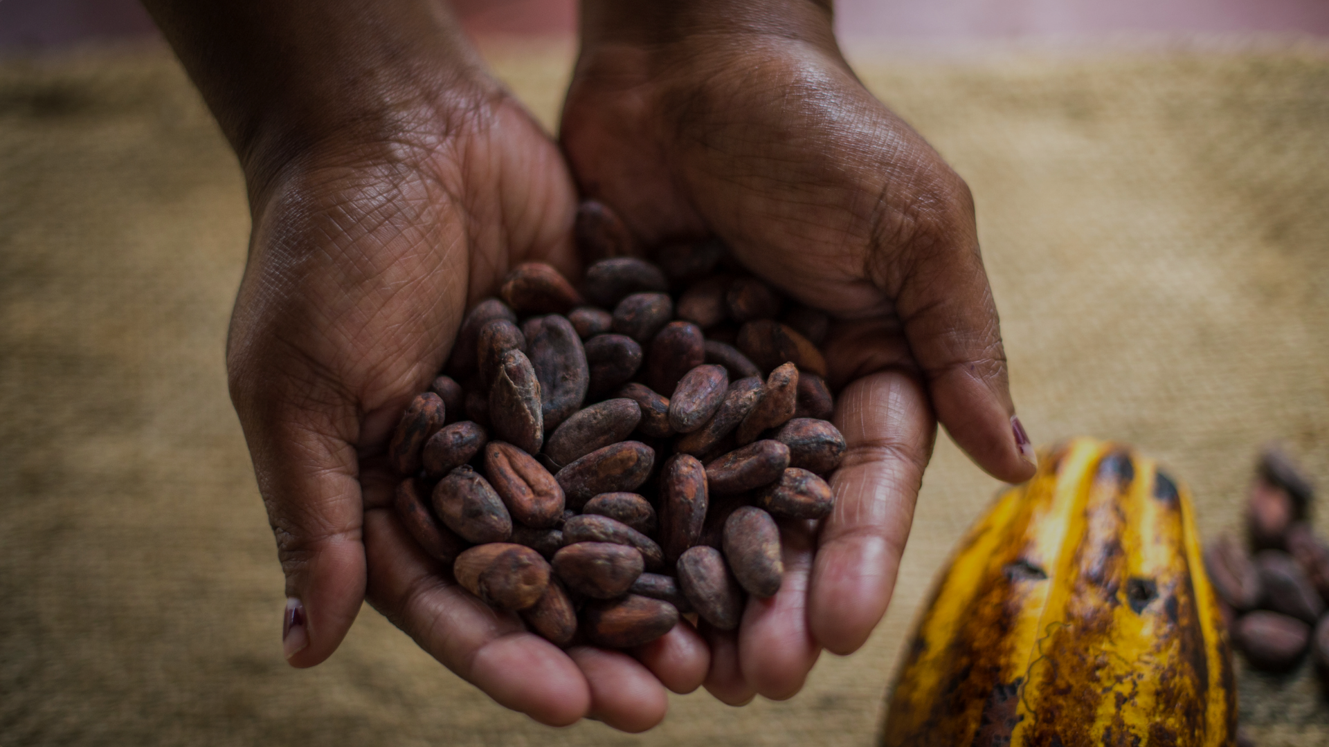 Homepage Pacific Trade Invest