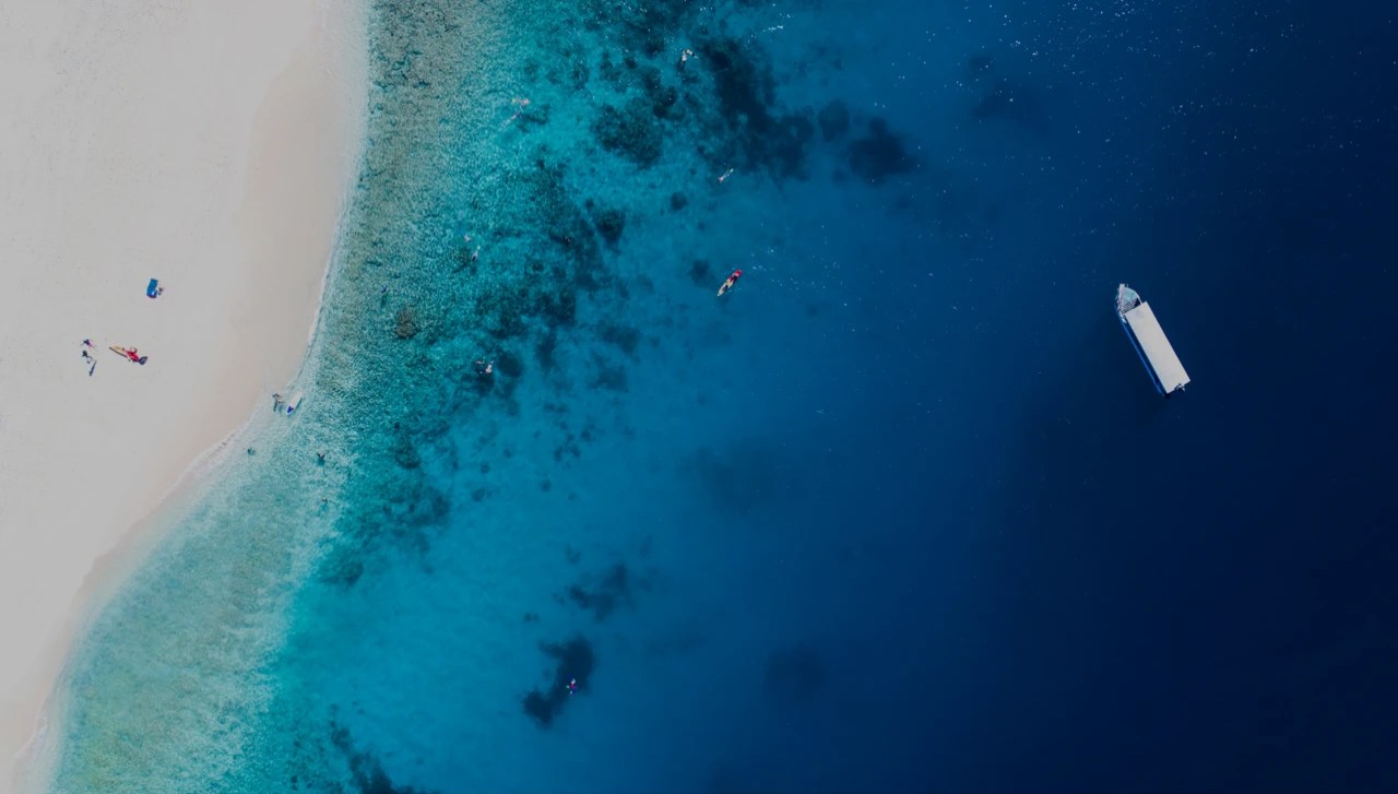 Homepage | Pacific Trade Invest