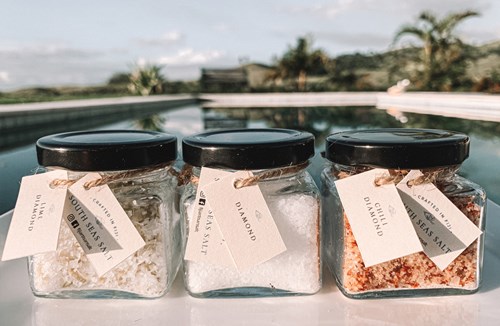 Success Story: Sun, Air, Love and Time (SALT) – the tale of South Seas ...