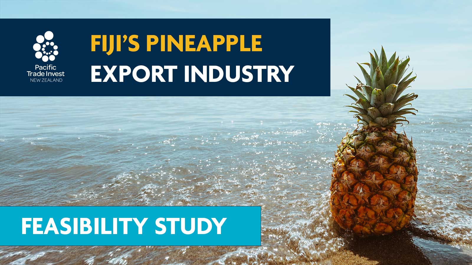 PTI New Zealand: More Fijian pineapples to New Zealand | Pacific Trade ...