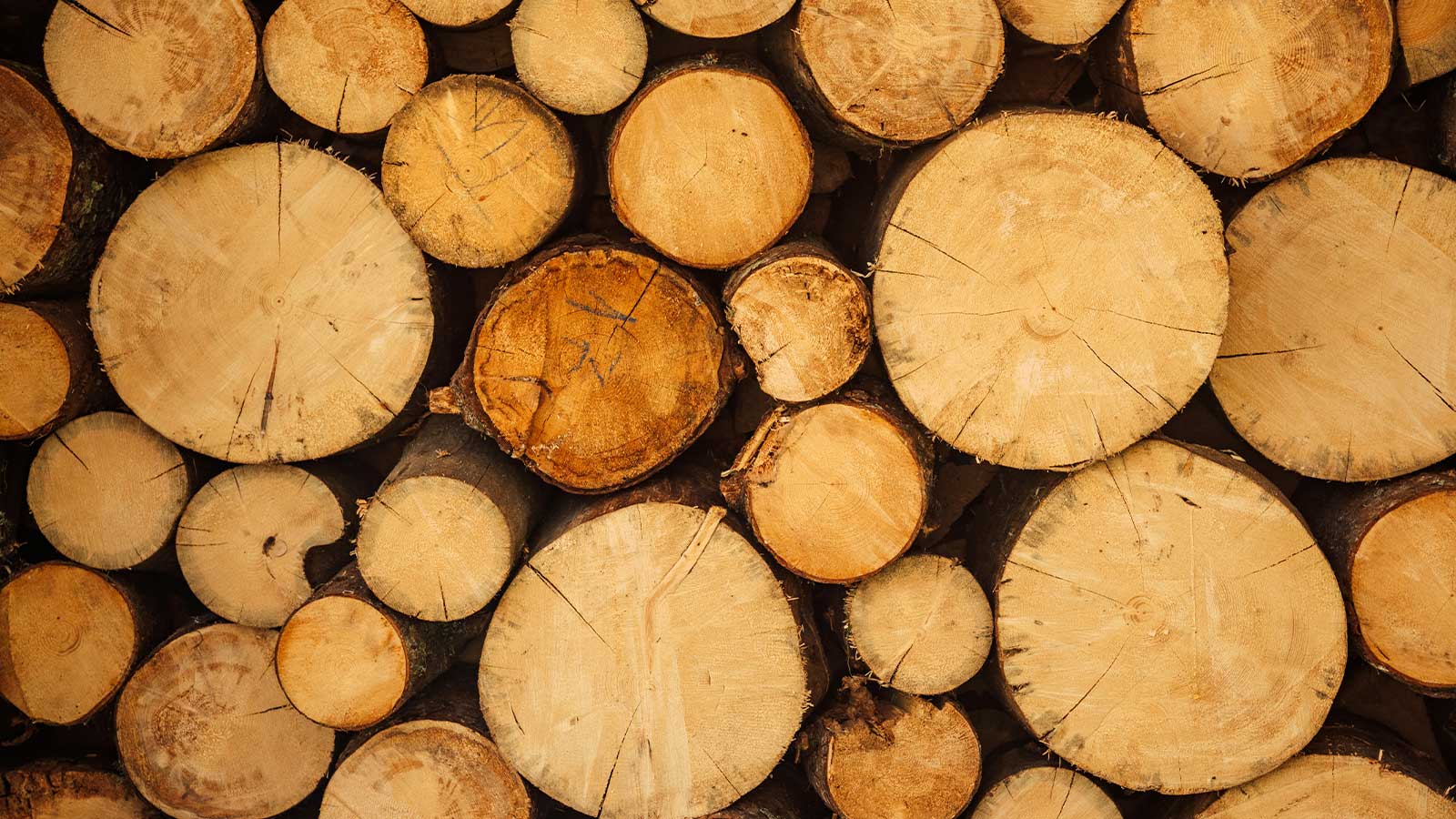 Industry Story: Sustainability Certification Key to Unlocking Pacific ...